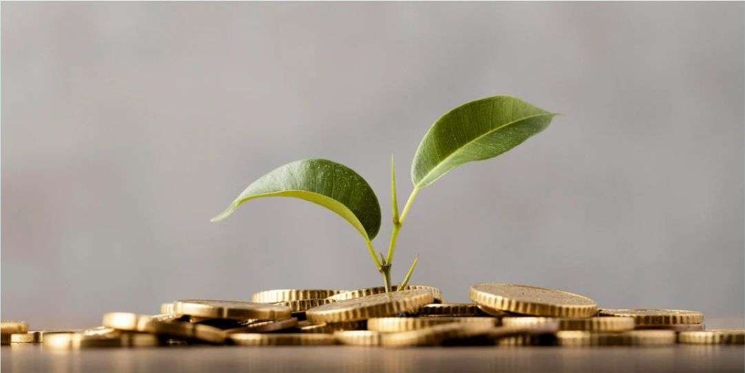 PPF vs Mutual fund. Which is better saving the instrument